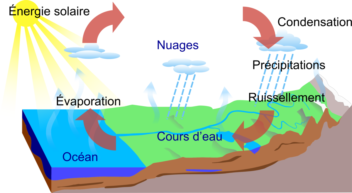 Qu’est-ce qui explique la salinité de la mer