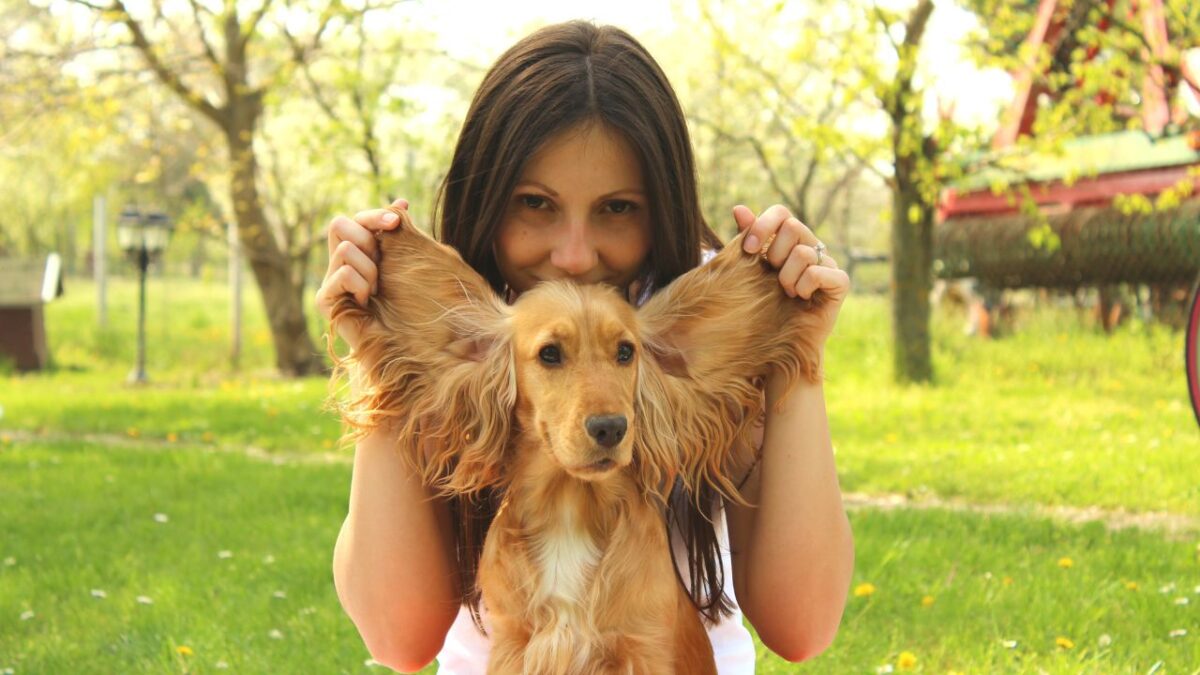 Chien le plus grand du monde, le plus vieux... Voici les records des ...