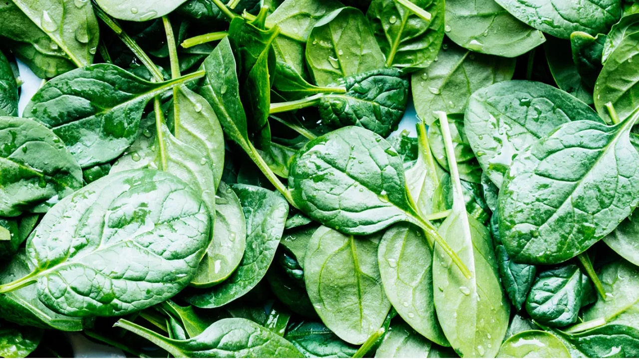 Quels sont les 10 aliments les plus riches en fer