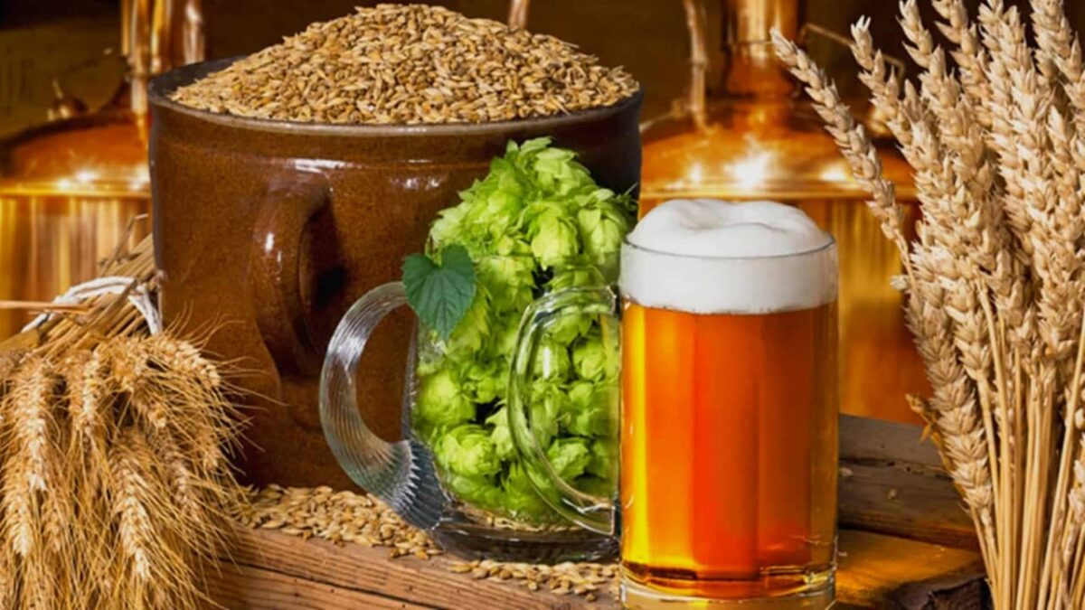 Qu'est-ce qu'une bière IPA (India Pale Ale) ? Définition & Origine