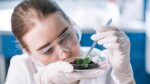Qui sont les plus grands scientifiques de l'histoire ? Top 10