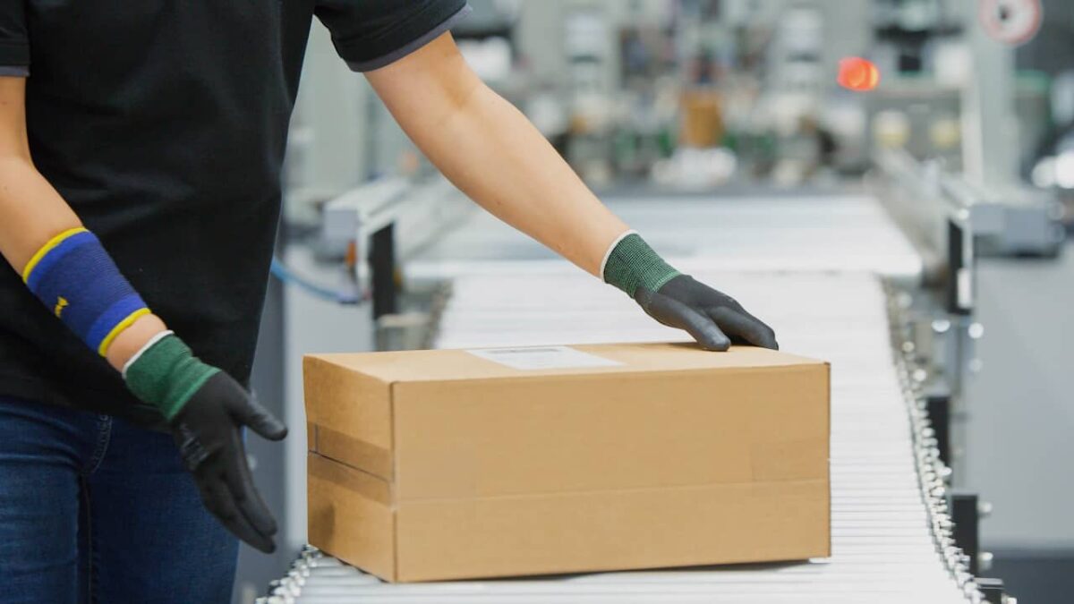 Réduire l'impact environnemental : l'emballage durable avec la CVP Everest