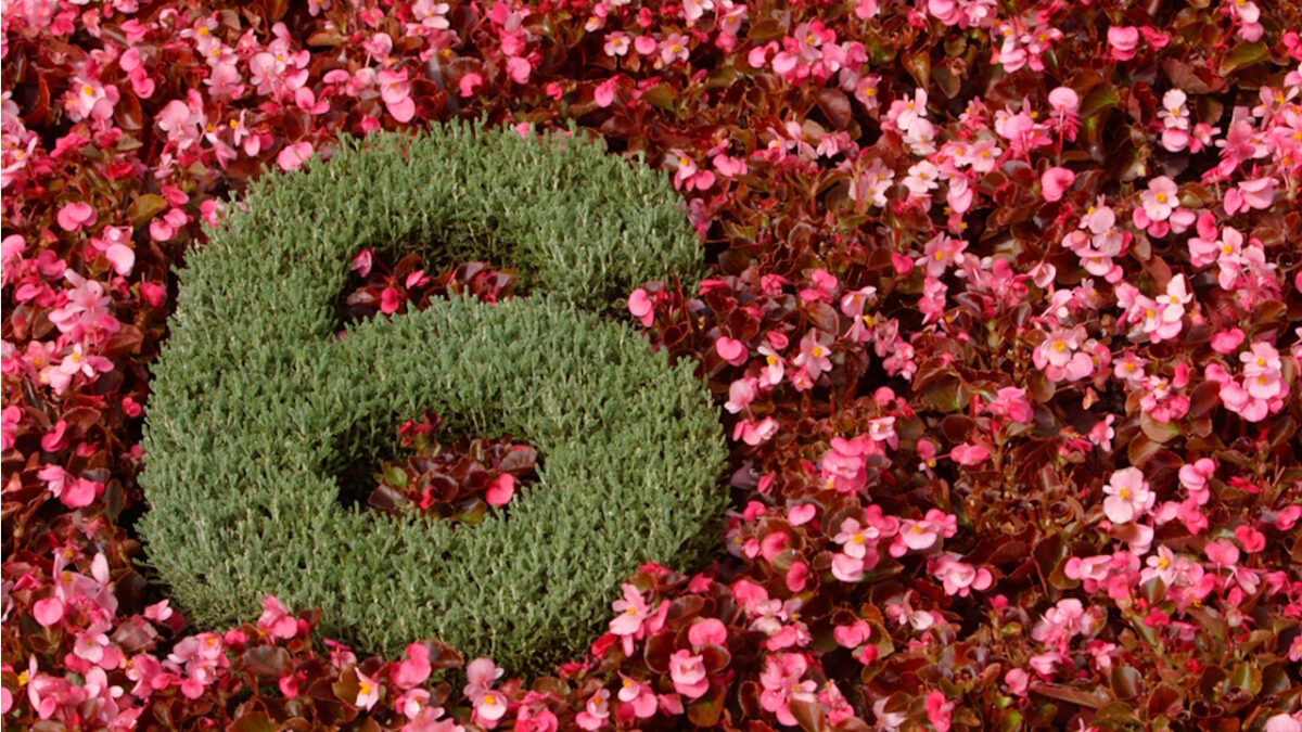 Numérologie chiffre 6 : quelle signification spirituelle