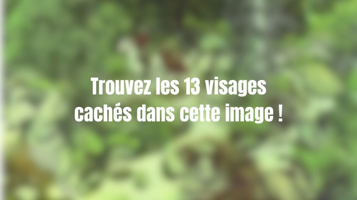 Test de vue : trouverez-vous les 13 visages cachés