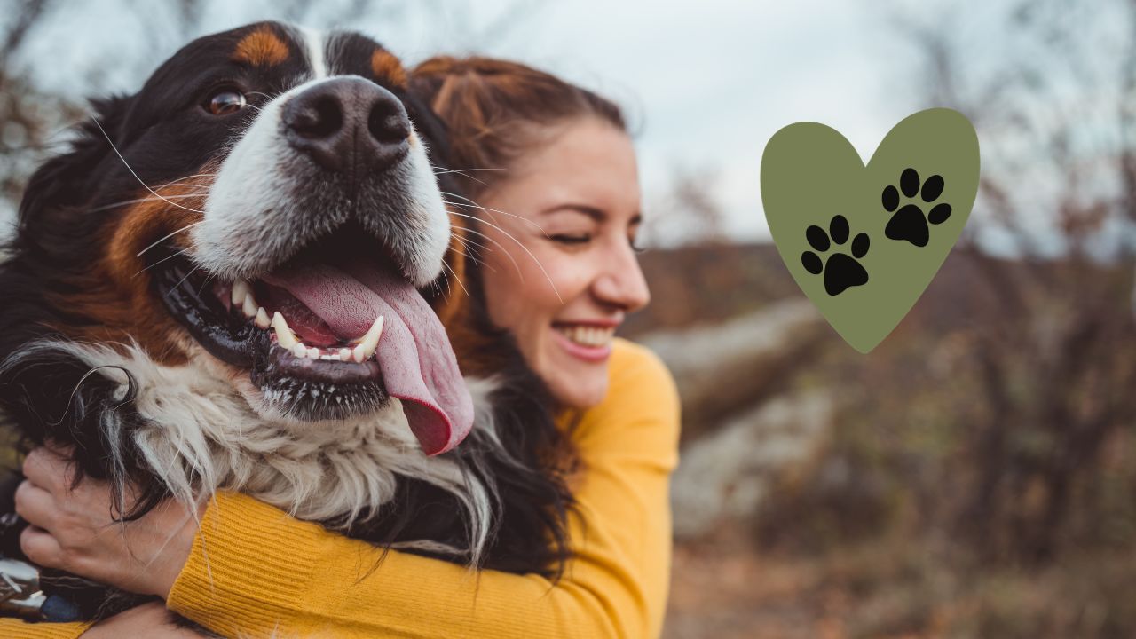 8 manières de renforcer le lien avec son chien