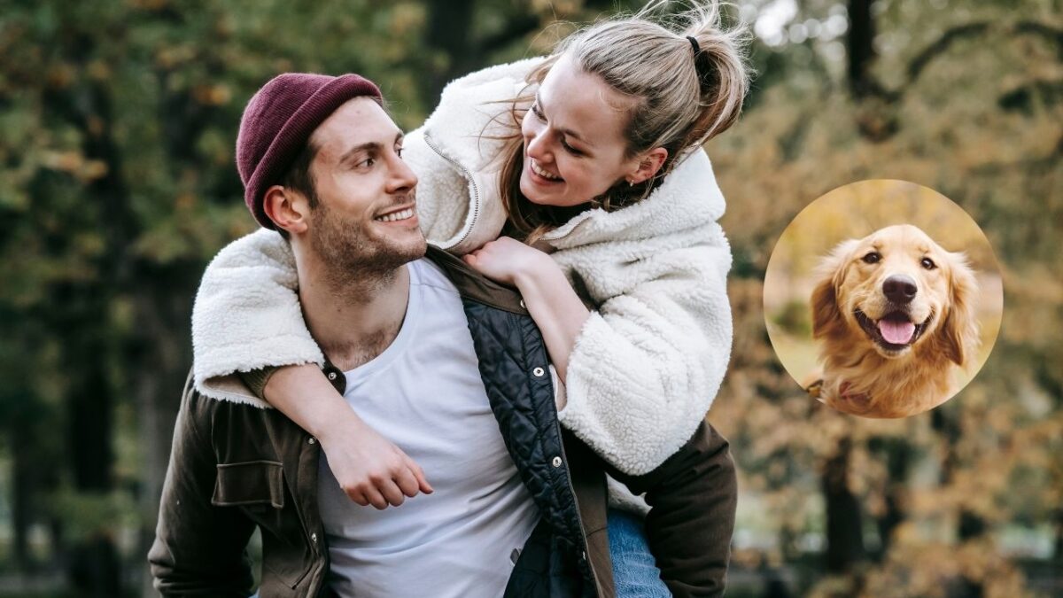 C'est quoi un "golden retriever boyfriend" sur les réseaux