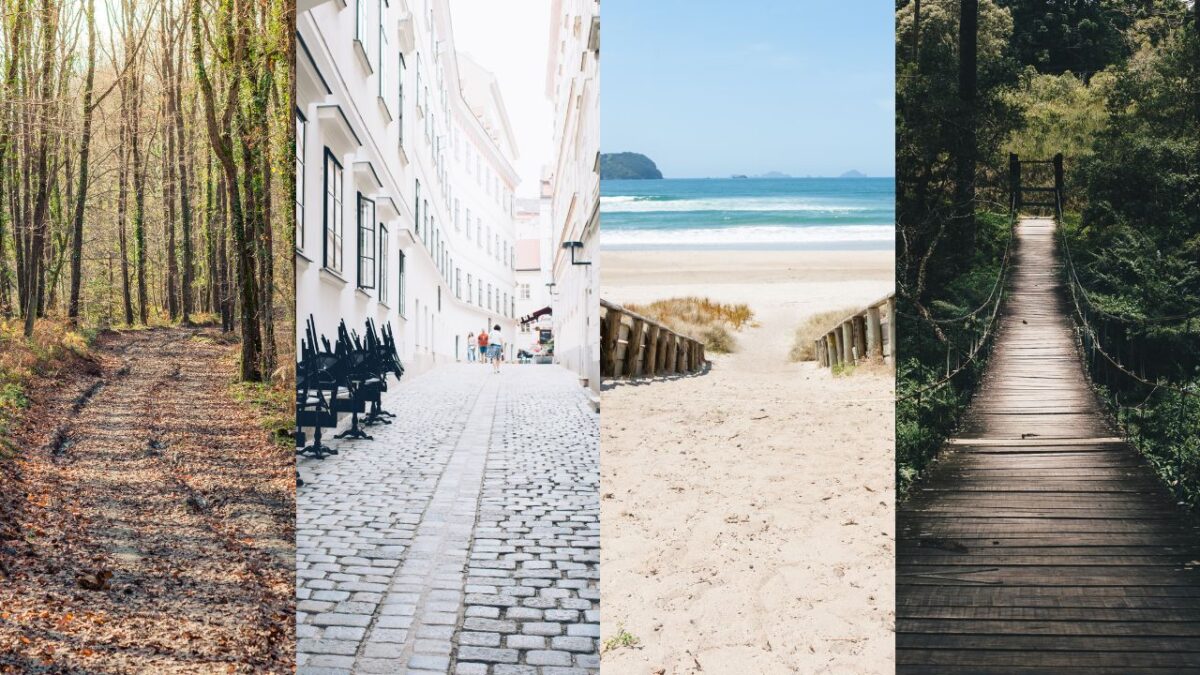 Test : le chemin que vous choisissez révèle votre personnalité
