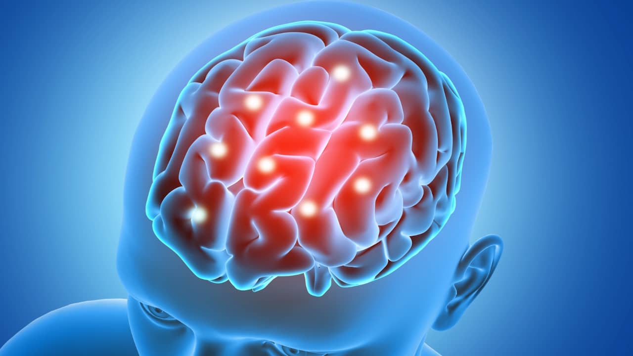 Nos souvenirs ne sont pas uniquement stockés dans notre cerveau