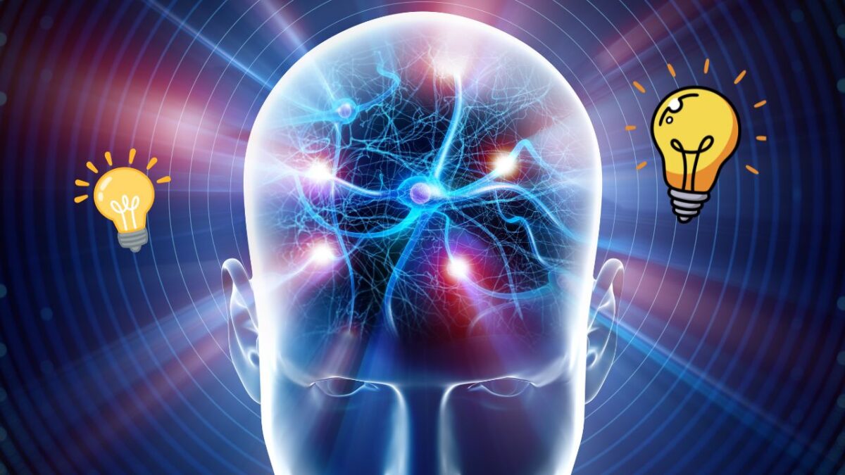 Les 15 Hacks De Cerveau Qui Boostent Votre Qi Instantanément