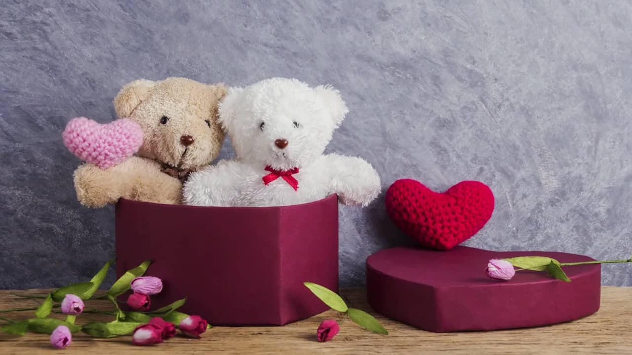 Idée cadeau Saint-Valentin : offrez une peluche pleine d’amour