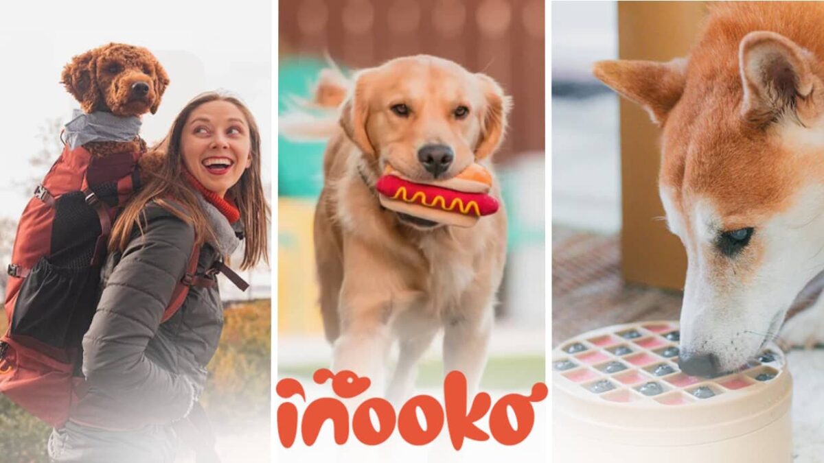 Inooko : boutique française d'accessoires pour chien éthique
