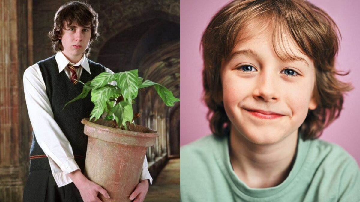 Série Harry Potter : casting complet et date de sortie
