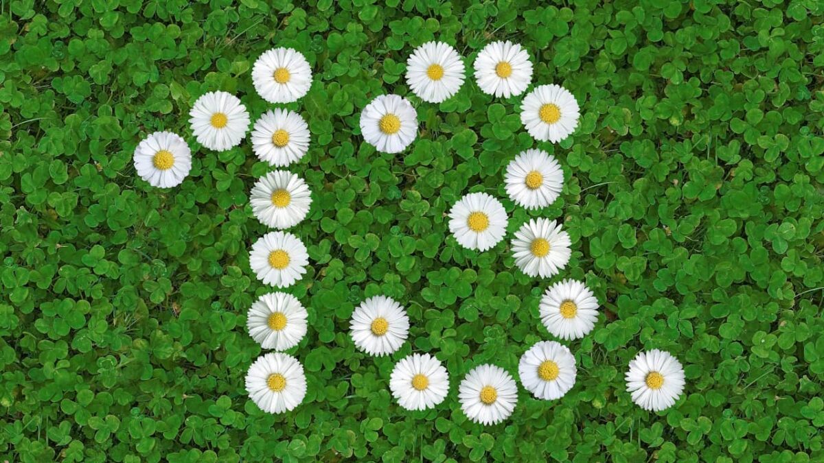 Chiffre 13 : histoire, significations et mystères de ce nombre