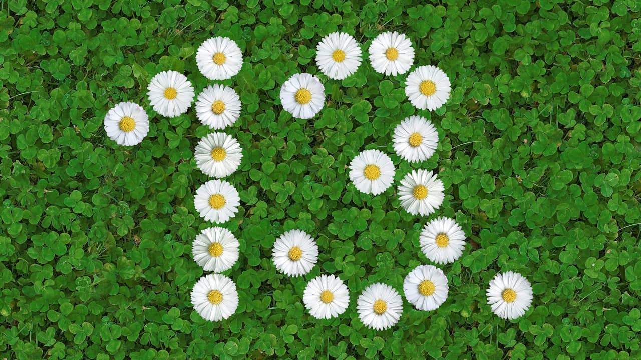 Chiffre 13 : histoire, significations et mystères de ce nombre