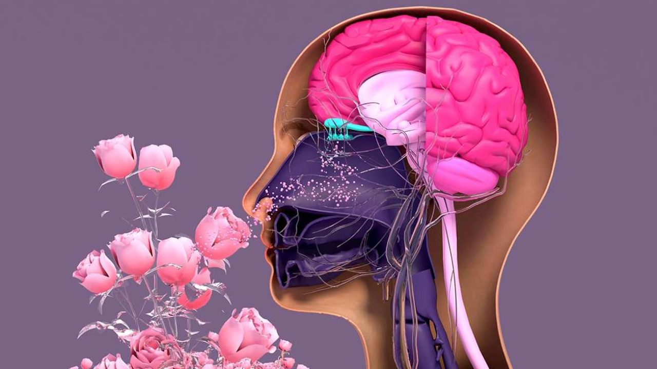 L’incroyable impact des odeurs sur vos émotions